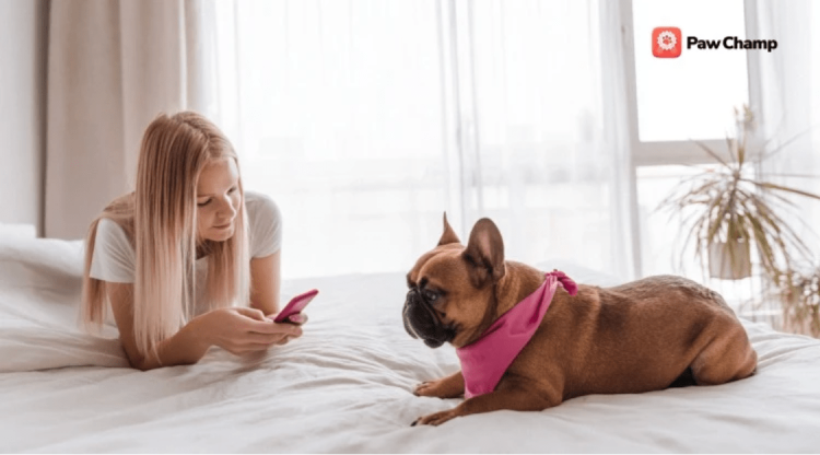 How Much Is It to Adopt a Dog with PawChamp App Support? | The American ...